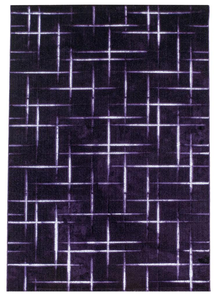 Ayyildiz Kusový koberec COSTA 3521, Lila Rozměr koberce: 240 x 340 cm
