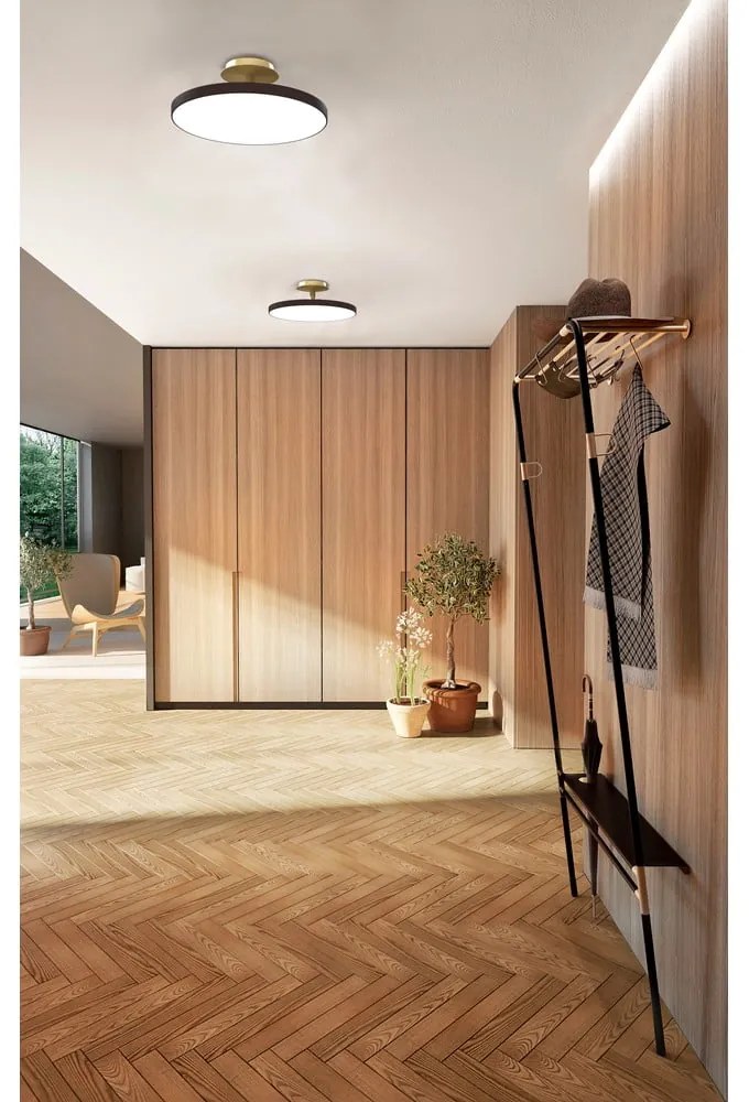 Antracitové LED stropní svítidlo ø 43 cm Asteria Up – UMAGE