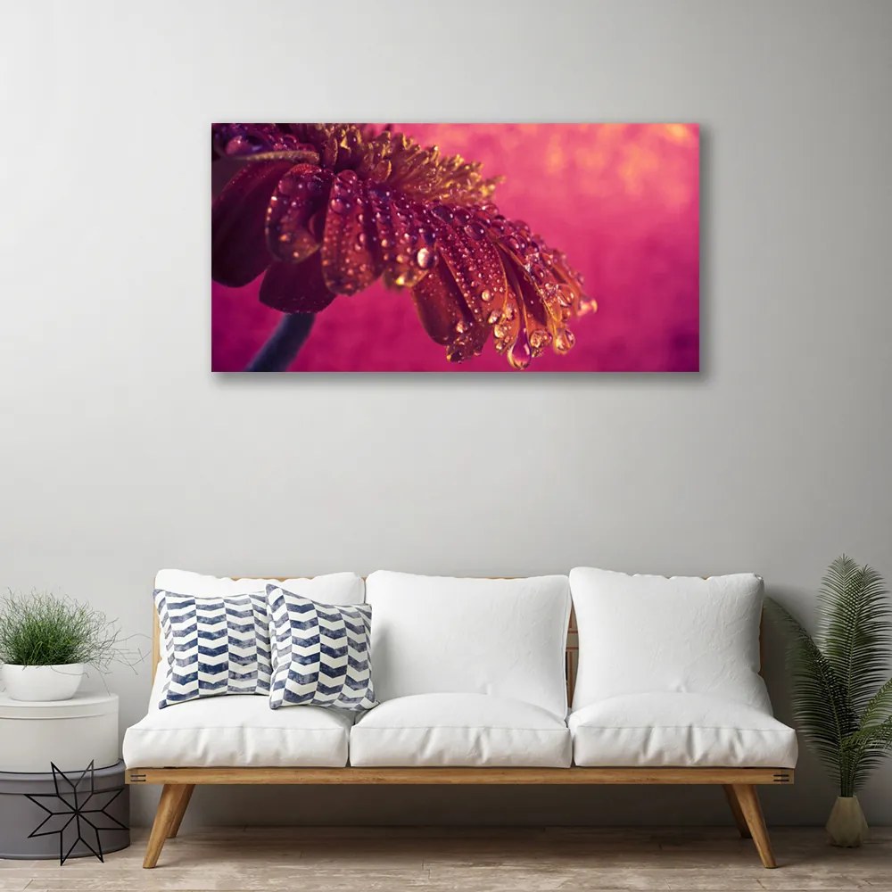 Obraz na plátně Strom příroda Rostlina 120x60 cm