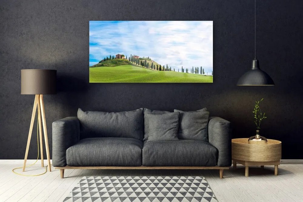 akrylový obraz Louka Stromy Krajina 120x60 cm