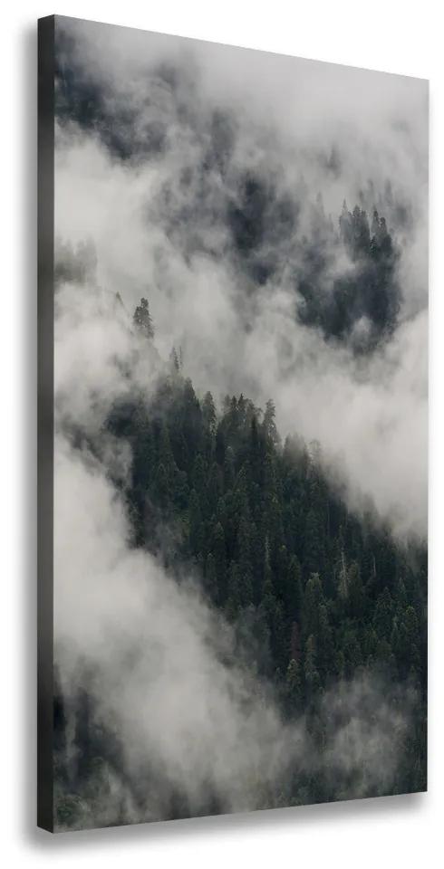 Wallmuralia Vertikální Foto obraz na plátně Mrak nad lesem 50x100