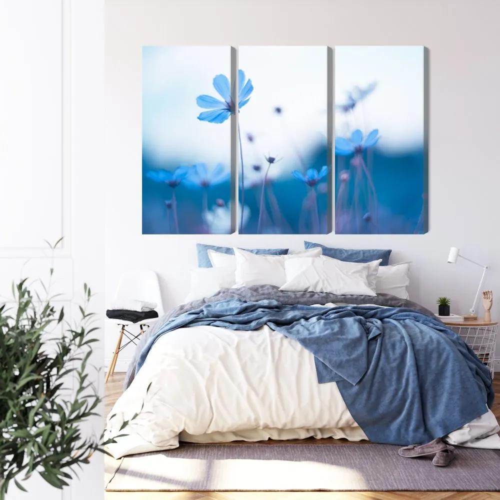 Vícedílný obraz Jemné Modré Květy Nedostatek Nedostatek Plátno Canvas 60x40