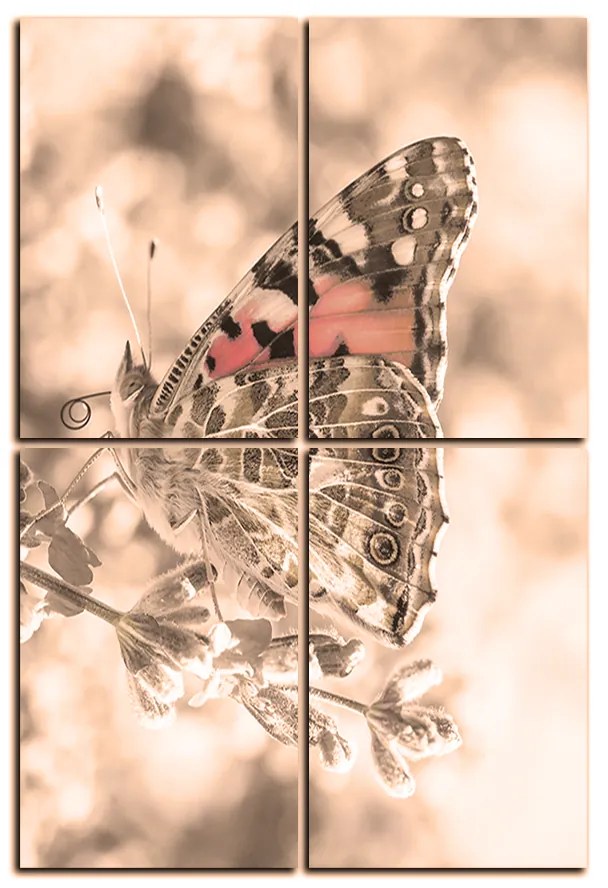 Obraz na plátně - Motýl na levandule - obdélník 7221FE (120x80 cm)
