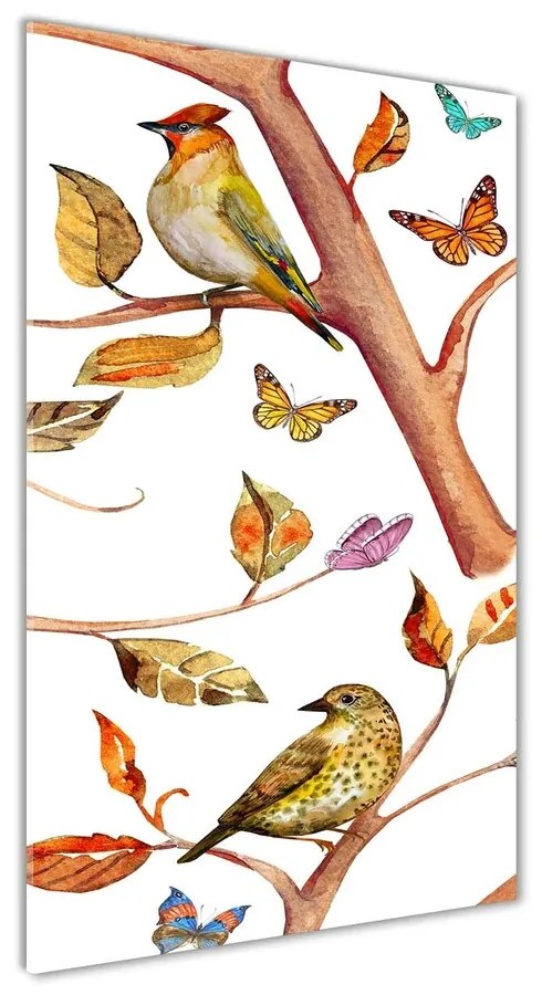 Wallmuralia Fotoobraz na skle Ptáci motýli listí 50x100 cm