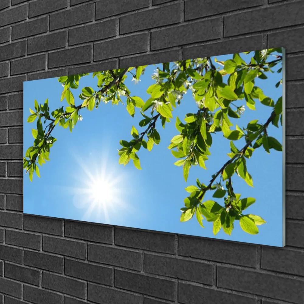 Obraz na skle Slunce Příroda 100x50 cm