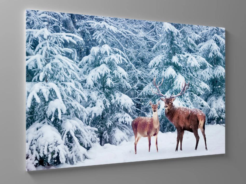 Liox Obraz jelen v zimě Rozměr: 150 x 100 cm