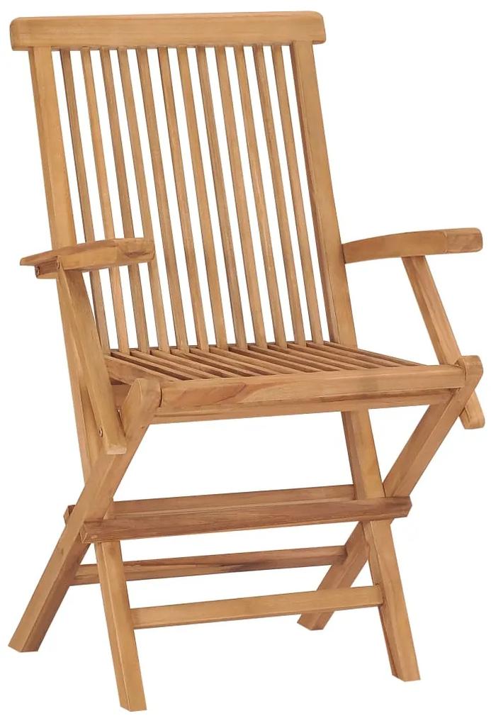 Skládací zahradní židle 2 ks masivní teakové dřevo,  315443