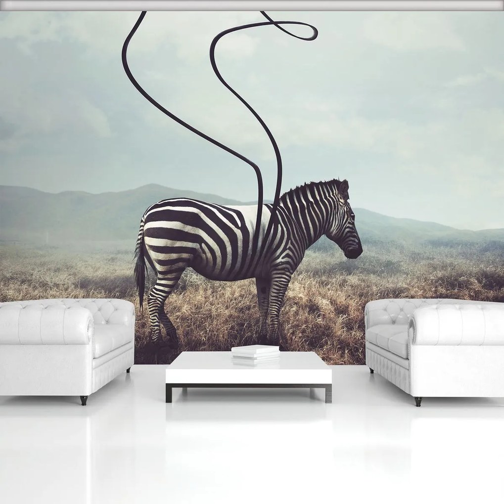 Fototapeta - Zebra (254x184 cm)