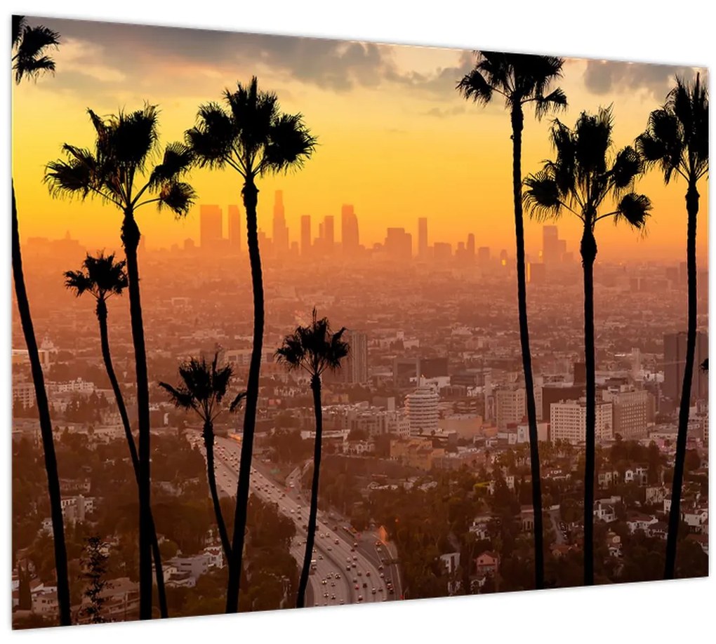 Skleněný obraz - Panorama Los Angeles (70x50 cm)