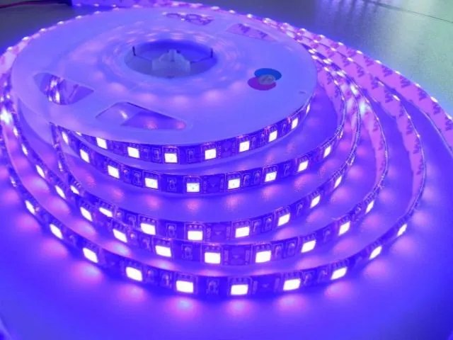 LED21 LED pásek UV 5m 60x2835 6W/m, ultrafialový
