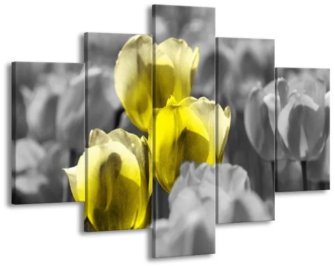 Obraz tří žlutých rostlin  (150x105 cm), 40 dalších rozměrů