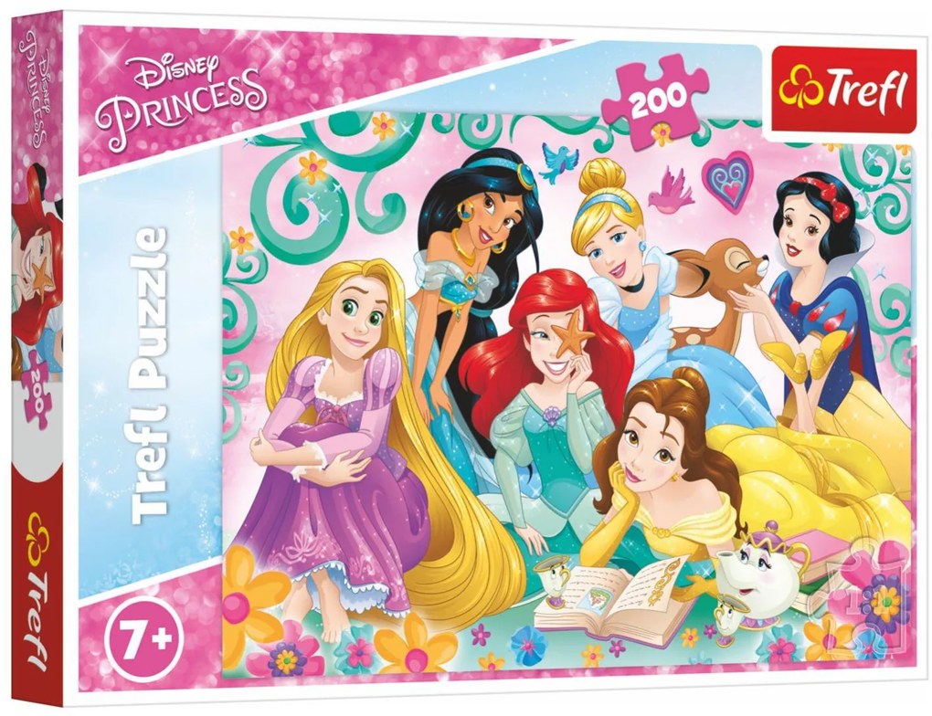 Puzzle Šťastný svět princezen/Disney Princess 200 dílků 48x34cm v krabici 33x23x4cm
