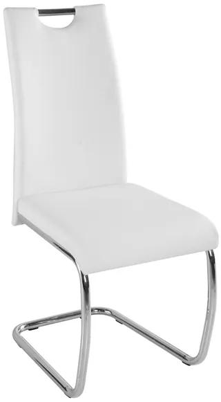 Jídelní židle DC604