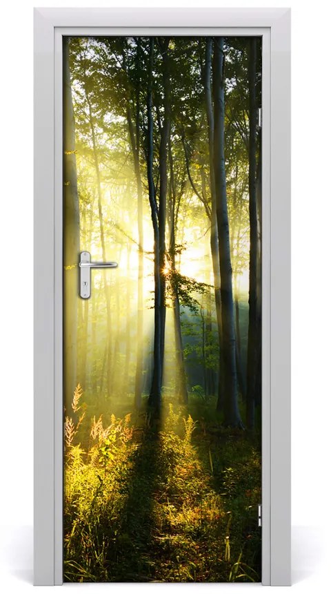 Fototapeta samolepící na dveře les příroda 75x205cm