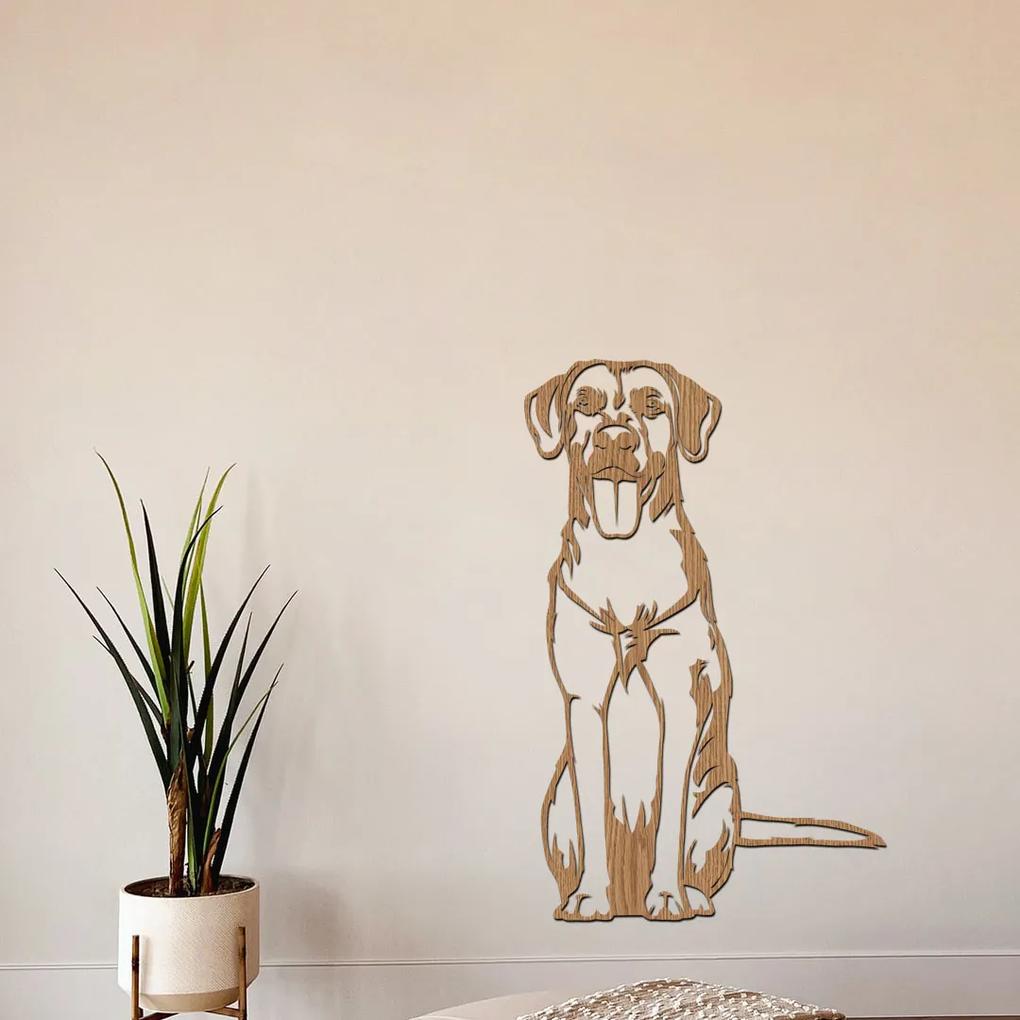 dřevo života Dřevěná dekorace psa Ridgeback Rozměry (cm): 19x30, Barevný vzor: Horský dub
