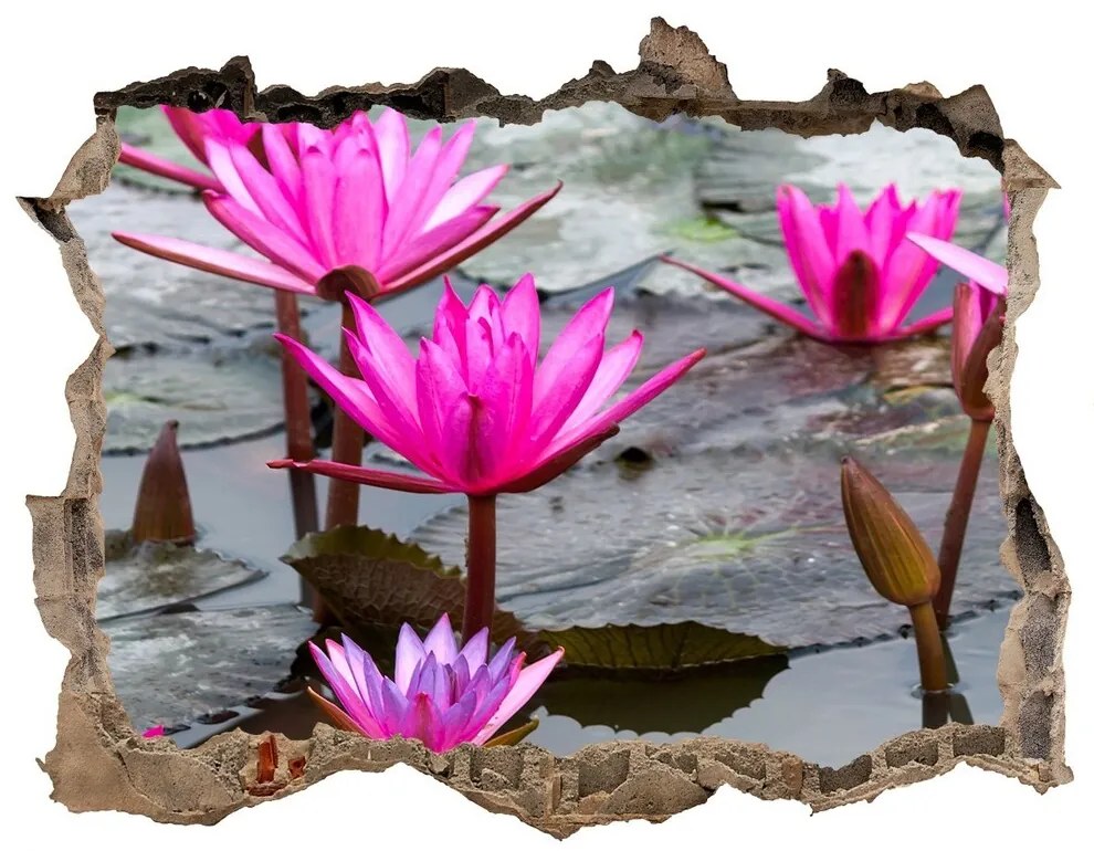 Wallmuralia Samolepící díra nálepka Květ lotosu 95x64 cm