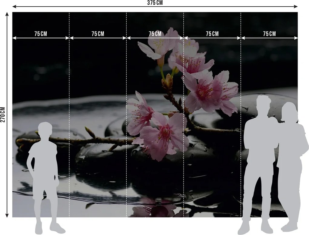Fototapeta na míru Květy Sakury na Lávových Kamenech | Vliesová fototapeta na zed' | DFTNS2460