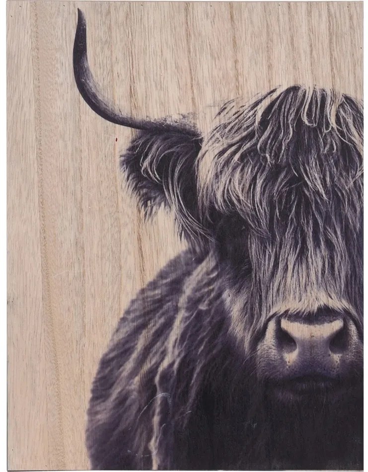 Obraz na dřevě Bull, 28 x 38 cm