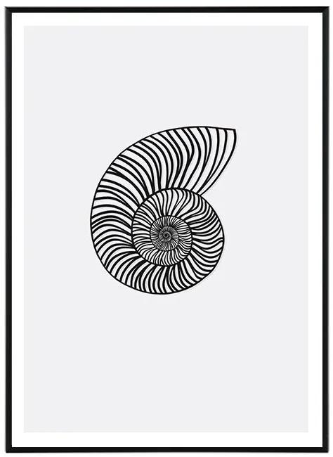 Nautilus in black - 30x40 cm Obraz