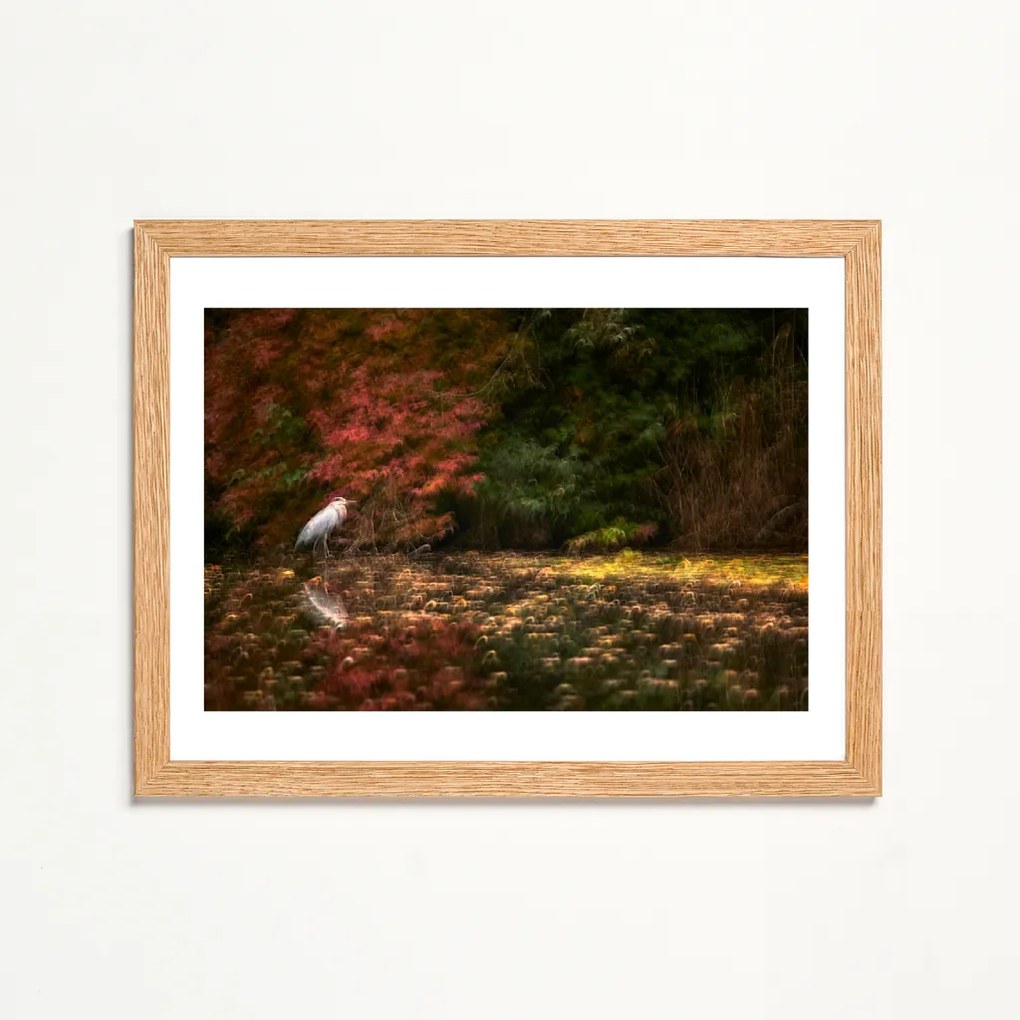 Jiří Hřebíček | Silent Autumn Admirer Rám: Bez rámu, Velikost: 20 x 30 cm