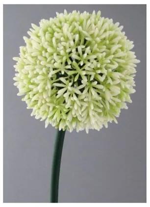 Umělá květina Česnek bílá, 68 cm