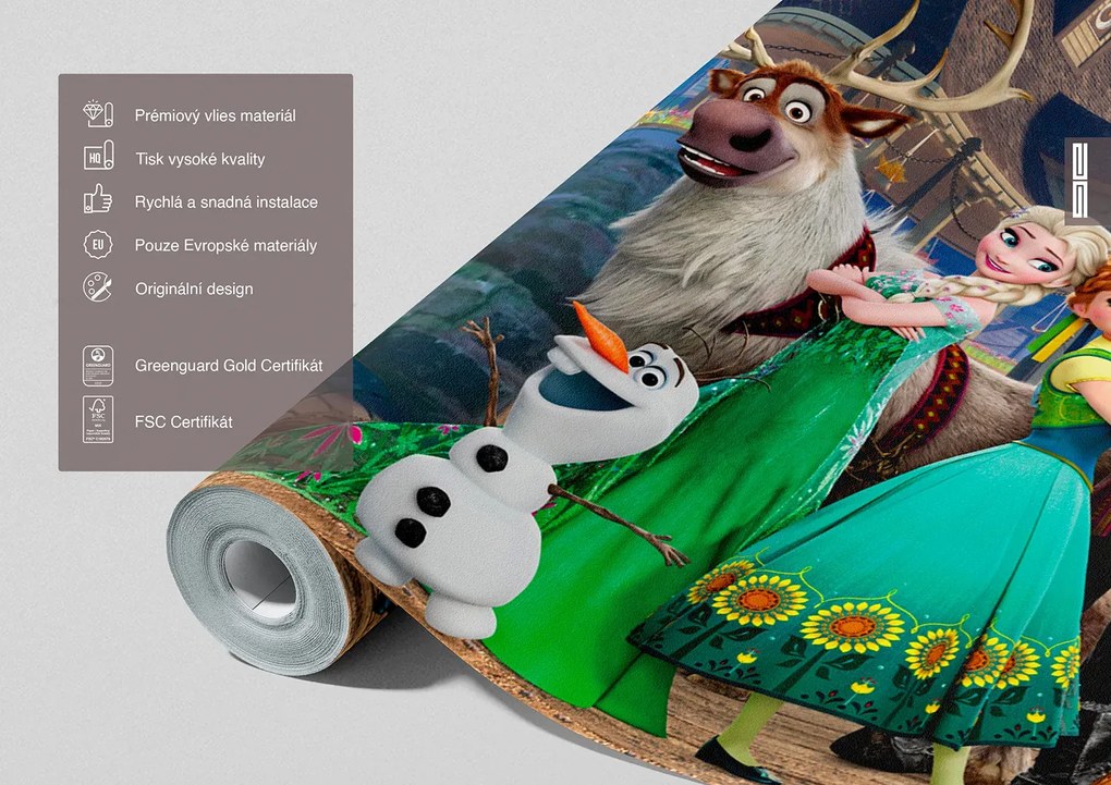 Dětská vliesová fototapeta na zed' Ledové království ve městě, Disney | 202 x 90 cm | DFTDNH 5365