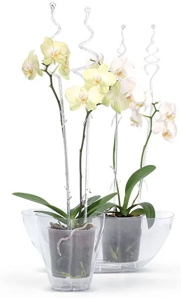 Prosperplast Mísa COUBI ORCHID bezbarvá transparentní 19,8 cm