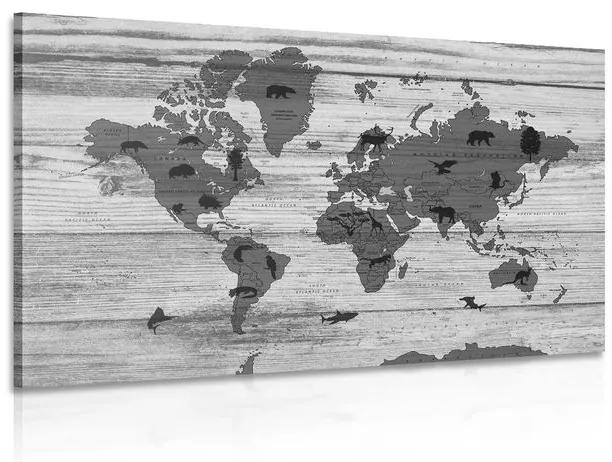 Obraz černobílá mapa na dřevěném podkladu - 60x40 cm