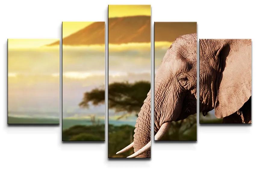 Sablio Obraz - 5-dílný Slon z profilu - 125x90 cm