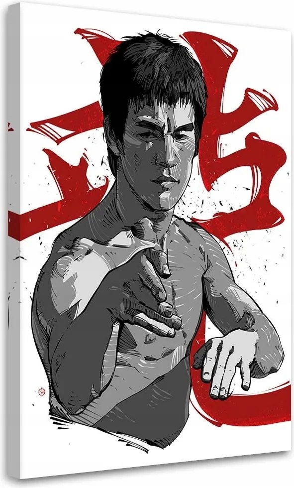Obraz na plátně Bruce Lee 40x60
