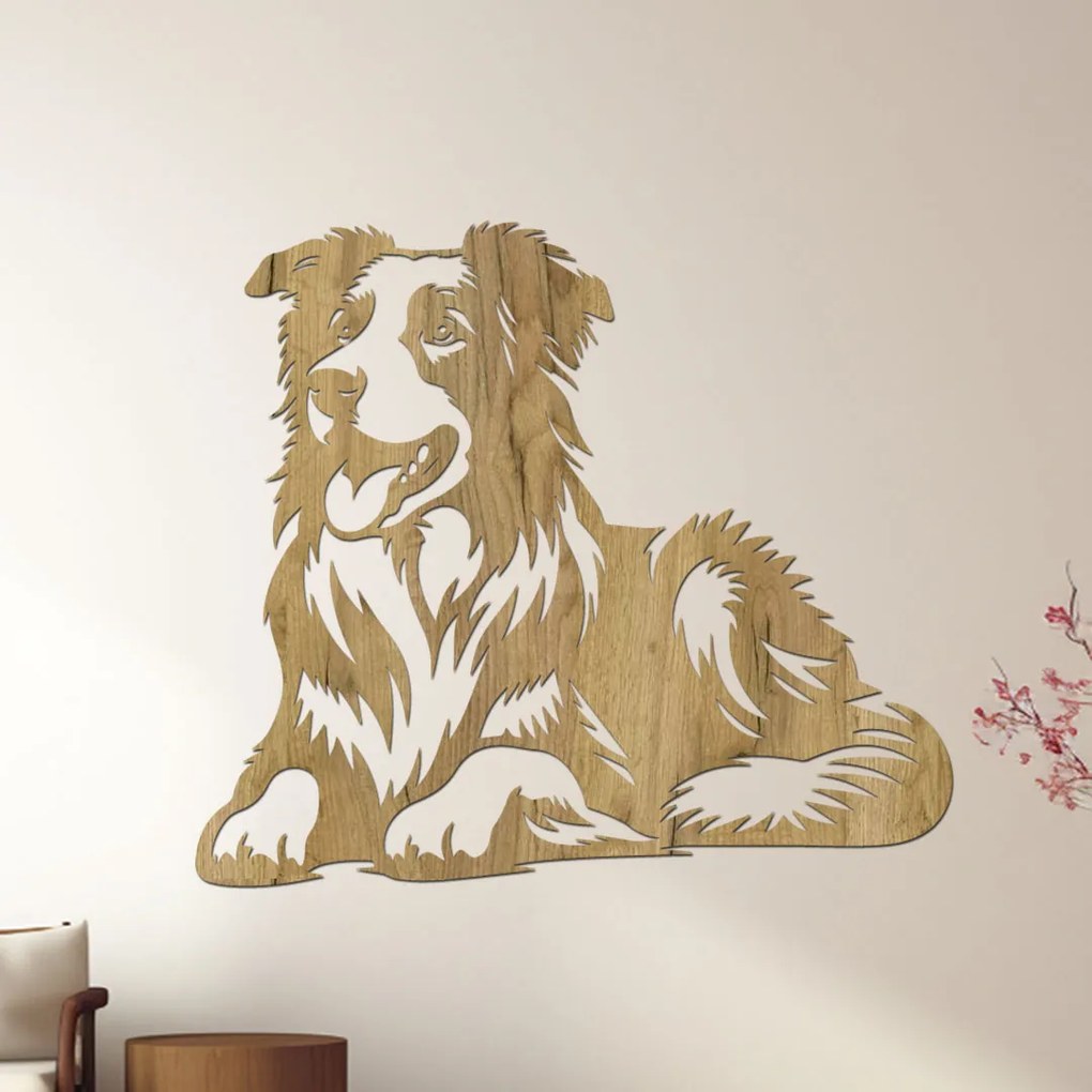 dřevo života Dřevěná dekorace psa BORDER COLLIE Zvolte rozměr (cm): 40x34, Zvolte barvu dekoru: Horský dub