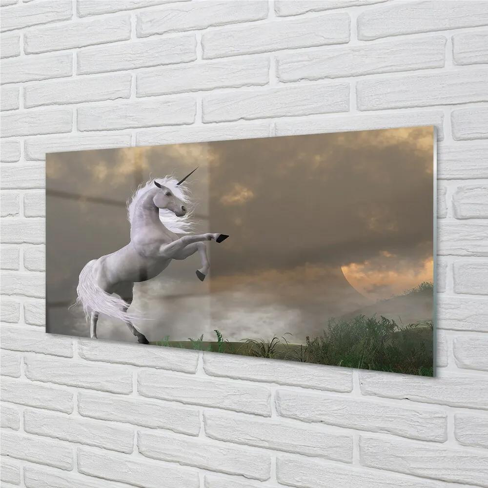 Obraz na skle Unicorn top 140x70 cm