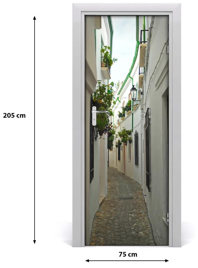Fototapeta samolepící dveře Andaluzie uličky 75x205 cm