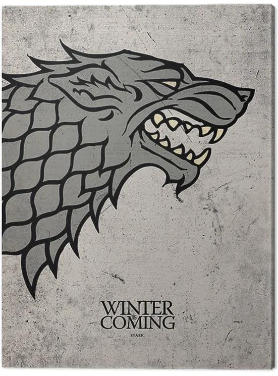 Obraz na plátně Hra o Trůny (Game of Thrones) - Stark, (30 x 40 cm) | BIANO