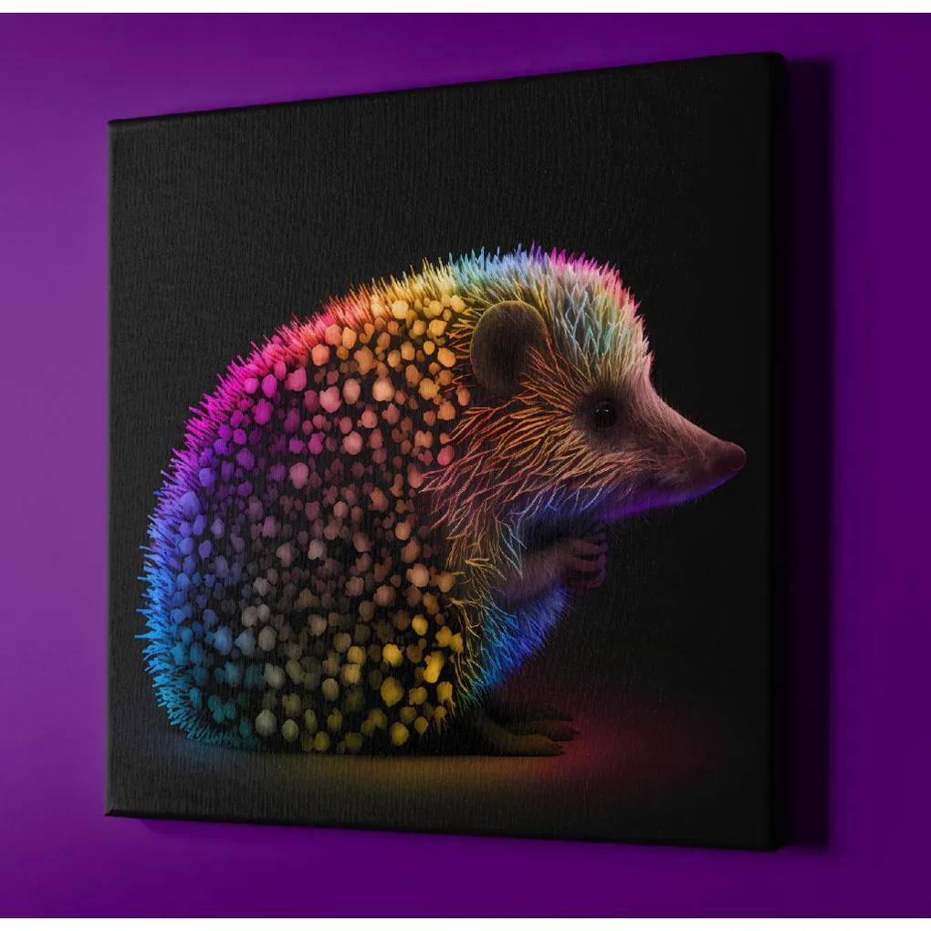 Obraz na plátně - barevný ježek FeelHappy.cz Velikost obrazu: 100 x 100 cm