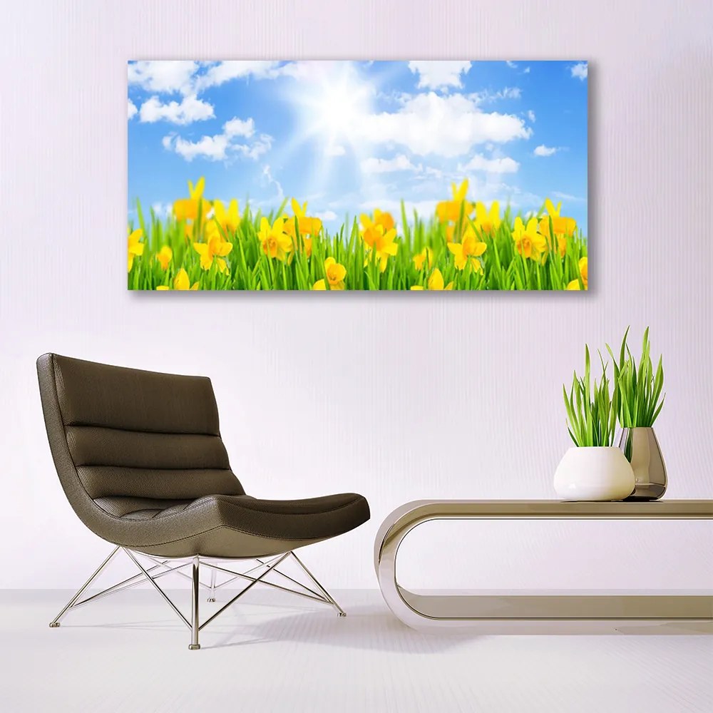 Plexisklo-obraz Narcisy Louka Tráva Příroda 120x60 cm