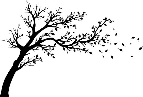 Nalepshop Podzimní strom samolepka na zeď ve velikosti od 1190x810 mm barevnost na přání