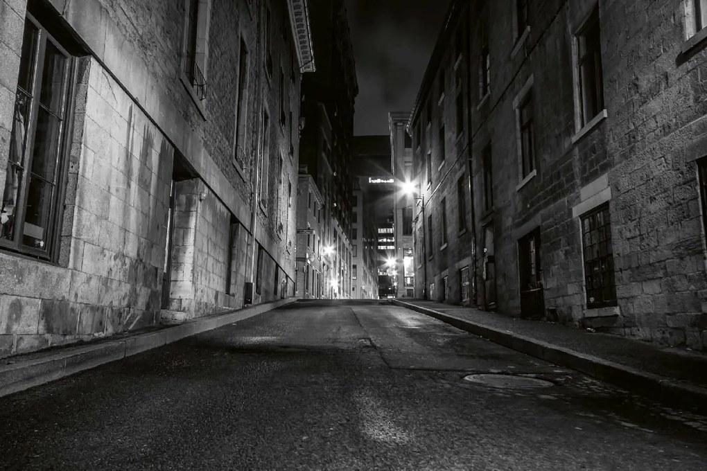 DIMEX | Vliesová fototapeta Starý Montreal MS-5-0752 | 375 x 250 cm| bílá, černá