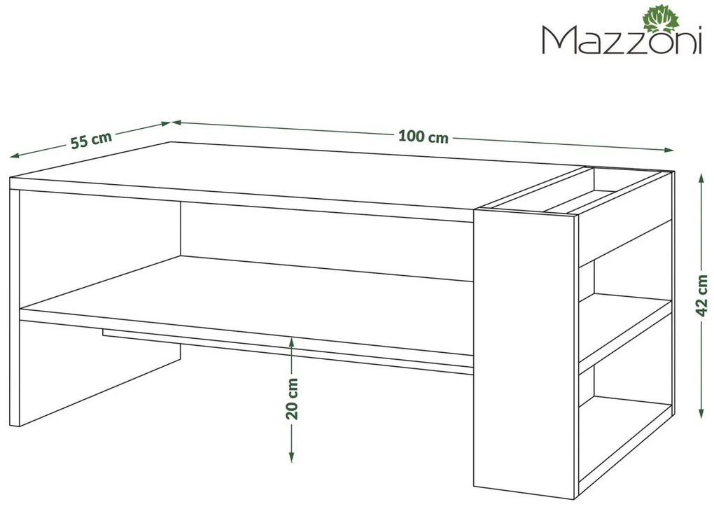 Konferenční stolek s regálem NEFRI 100x55 cm bílá/černá