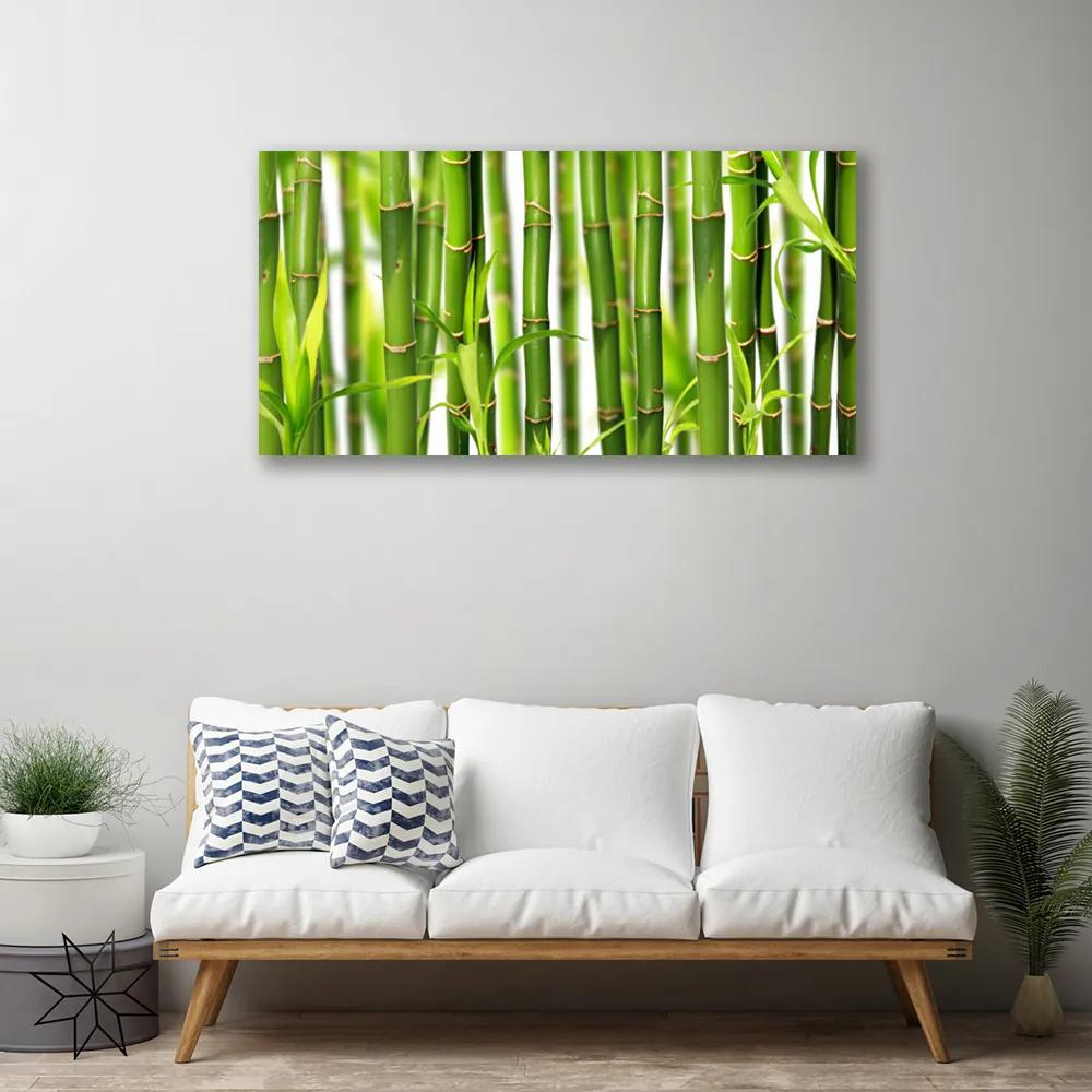 Obraz na plátně Bambusové Výhonky Listy Bambus 140x70 cm
