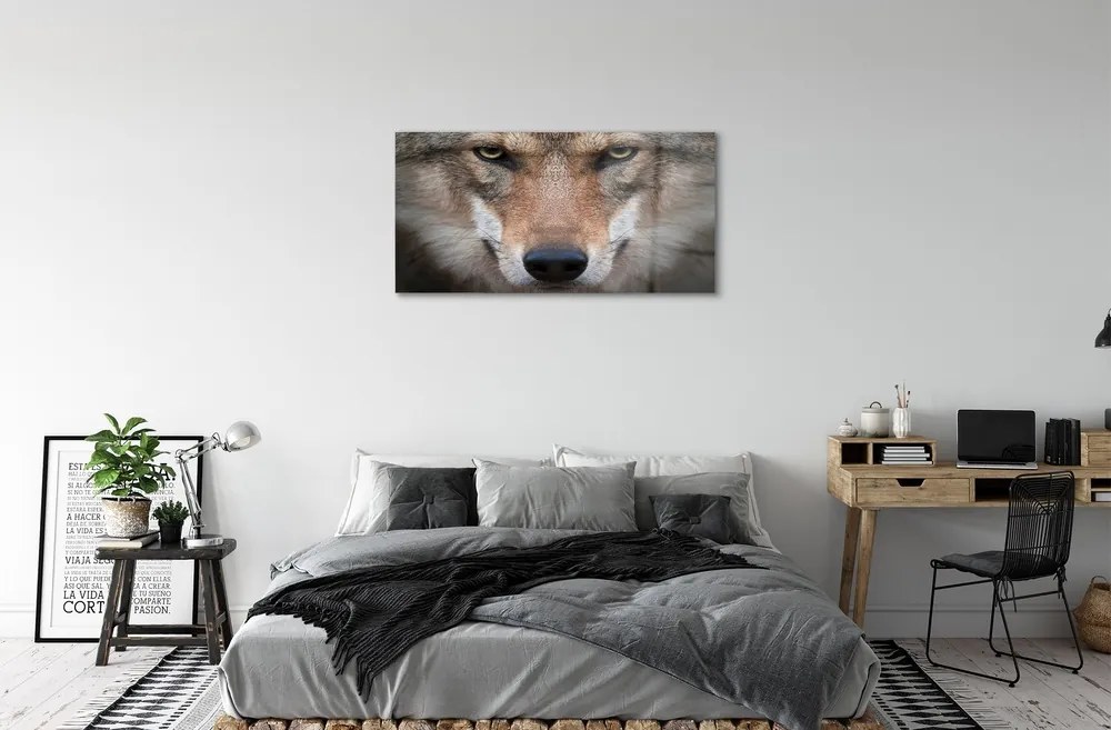 Obraz na skle wolf Eyes 120x60 cm