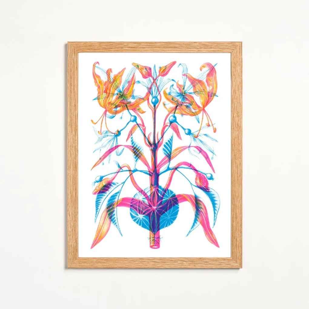 Filip Šenkeřík | Hybrid II – Lilencyclia Liliaceum Rám: Bez rámu, Velikost: 40 x 30 cm