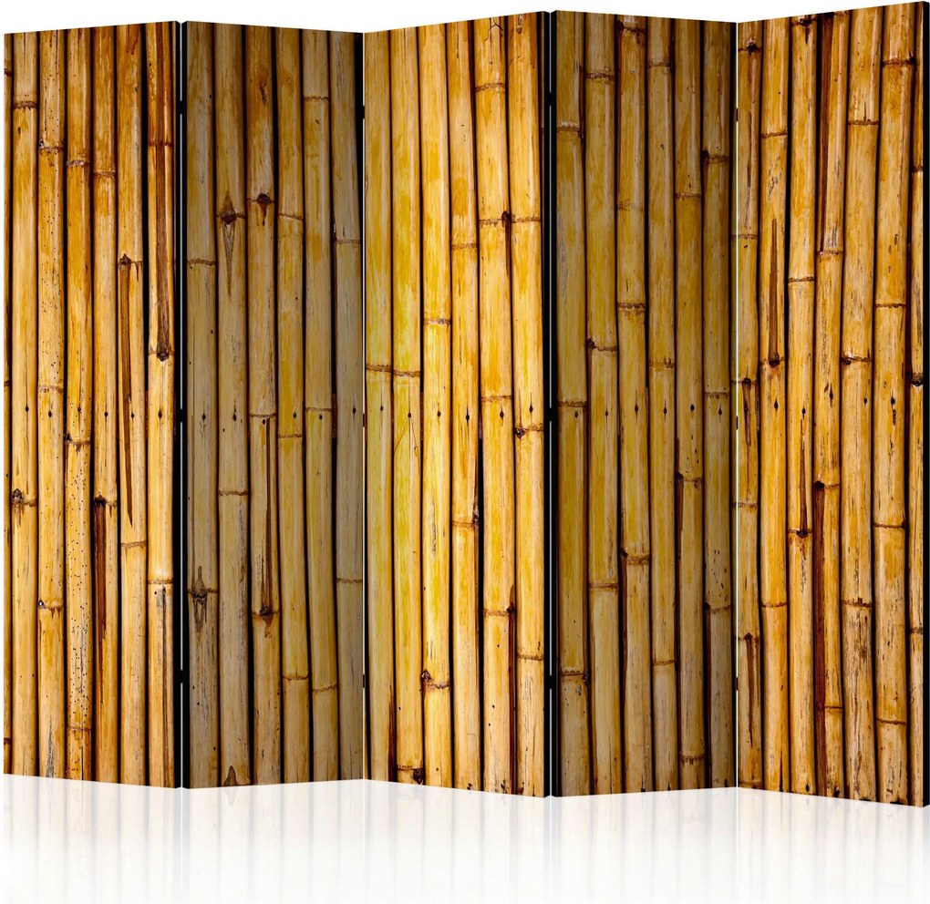 XXXLutz PARAVÁN, 225/172/3 cm artgeist - 004875073801