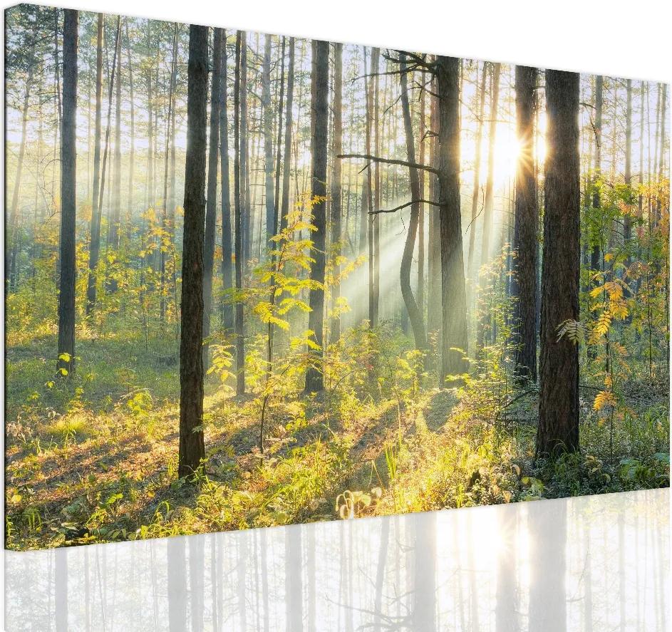 Obraz lesní pohádka (90x60 cm) - InSmile ®