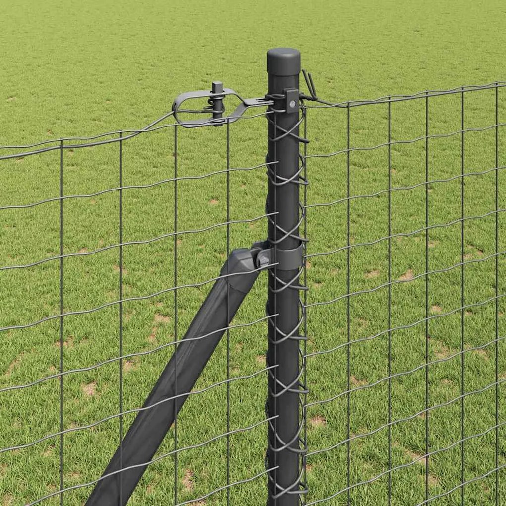 Evropský plot se hroty 10 x 1,6 m Ocel potažená PVC Šedá 3350633