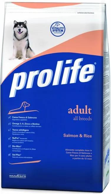 CLUB PROLIFE ADULT SALMON & RICE 2x12 kg