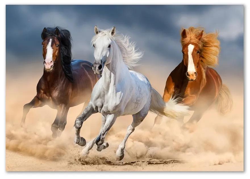 Wallmuralia Foto obraz fotografie na skle Koně na poušti 100x70 cm