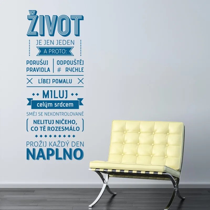 Samolepka na zeď - Život je jen jeden Barva: Černá, Velikost: 150x57 cm