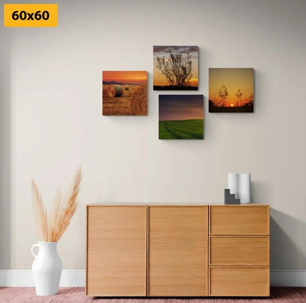 Set obrazů romantický západ slunce na louce - 4x 60x60 cm