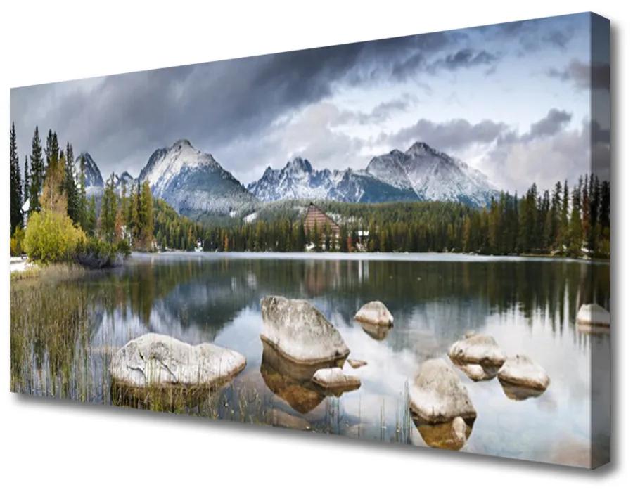 Obraz na plátně Jezero Hory Les Krajina 100x50 cm